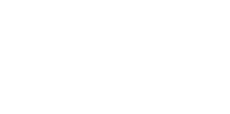 Home - Safyr